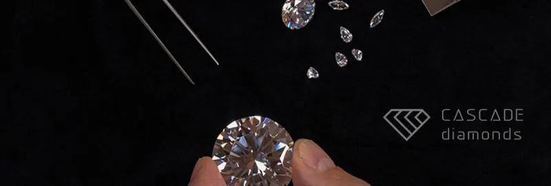 Rare Carat Reviews: Ratings & Services Comparison